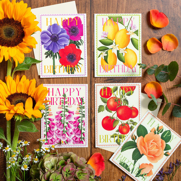 Shop Colourburst Greeting Cards | The Art File