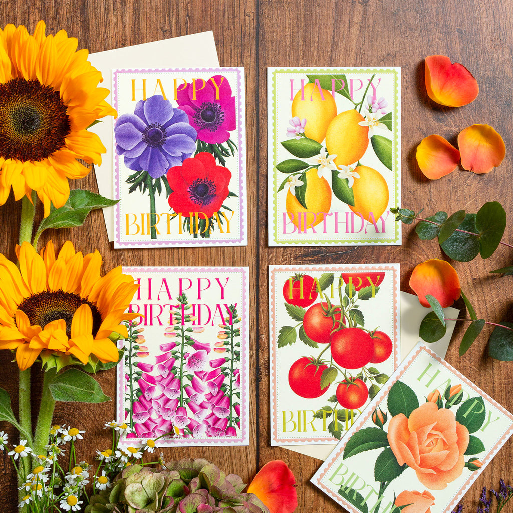 The Art File | Greetings Cards, Gift Wrap & Stationery