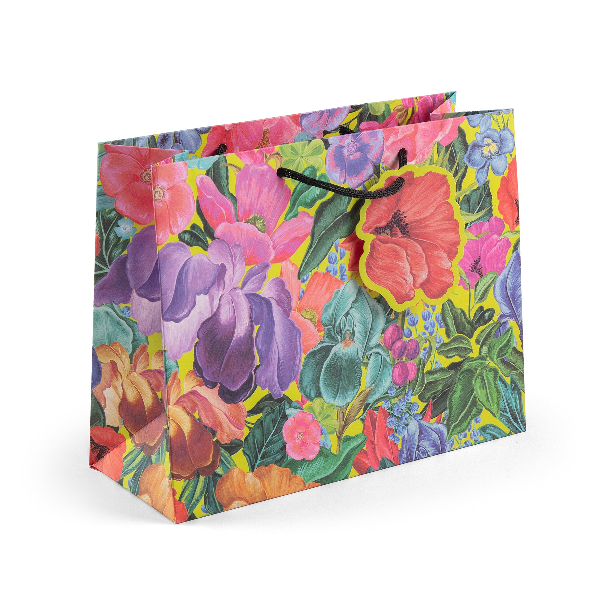Plantasia, Medium Landscape Gift Bag | The Art File