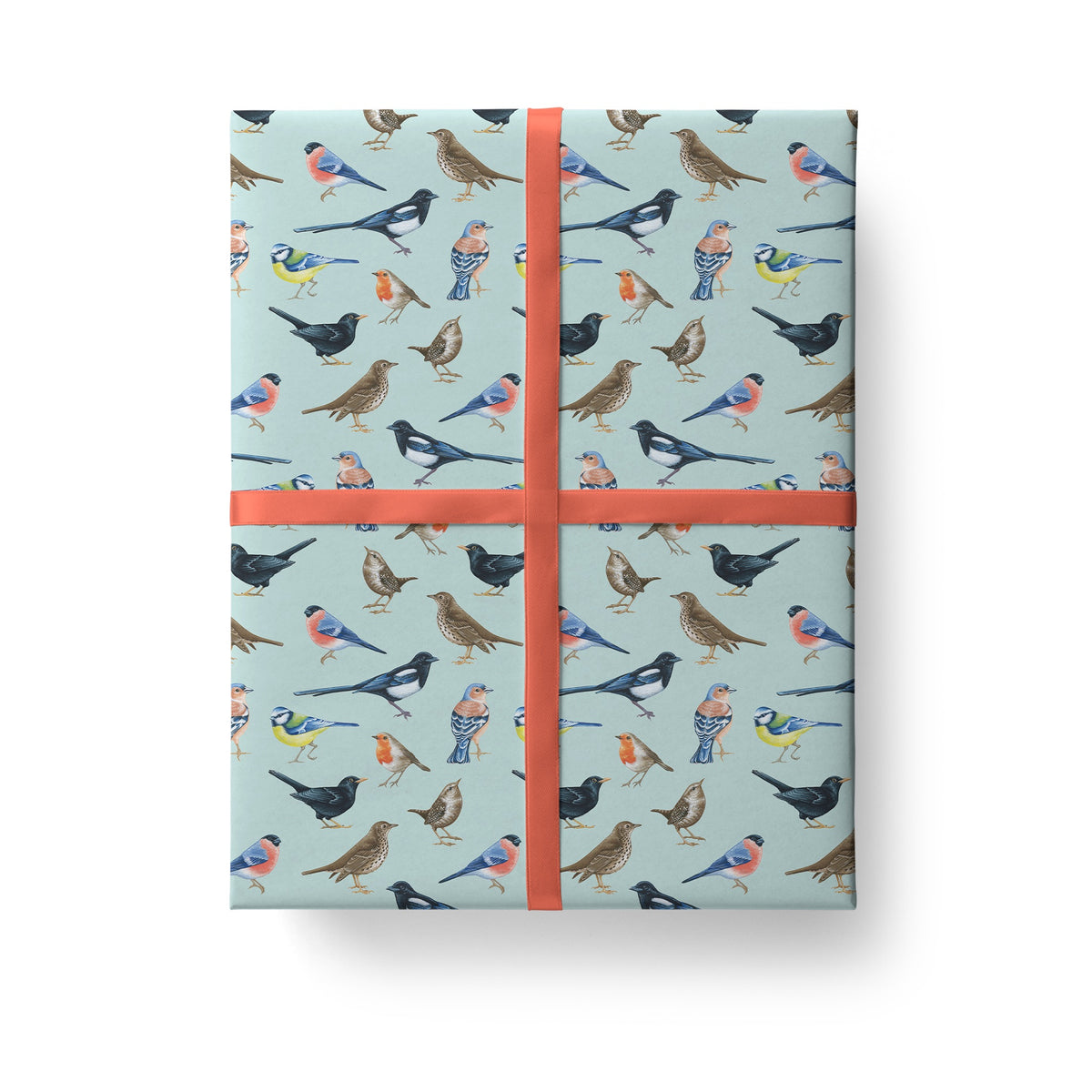 Bird Pattern Gift Wrap | The Art File Wrapping Paper