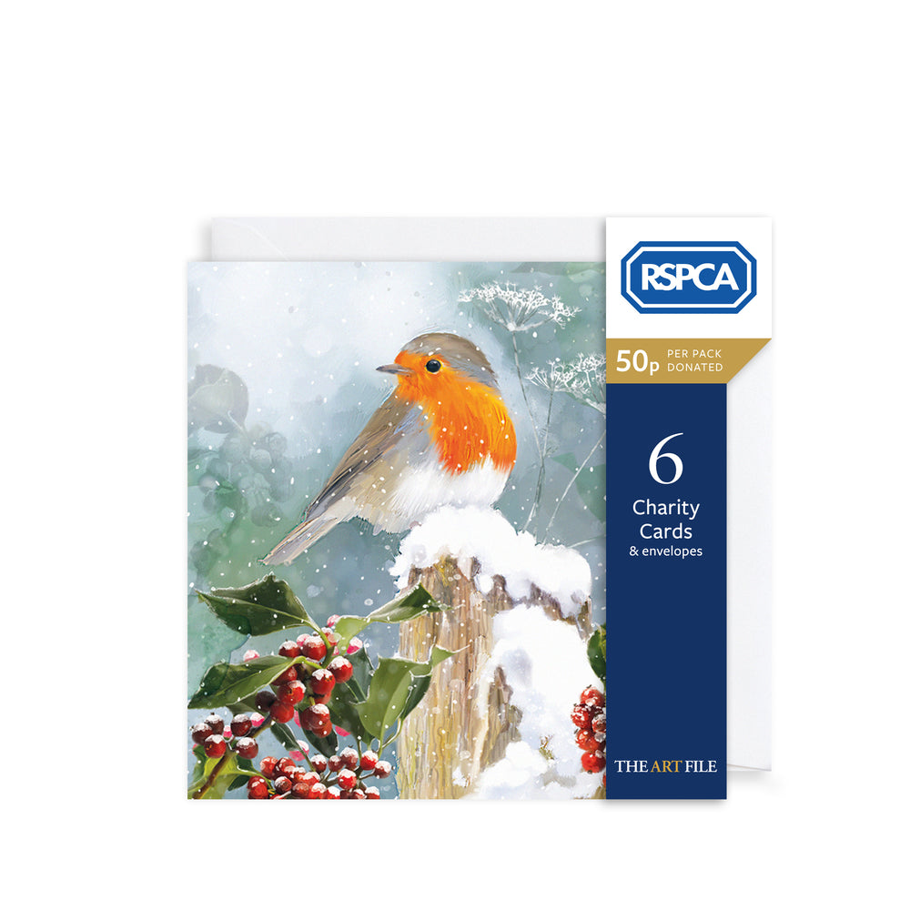 Festive Robin, Christmas Charity Cards | The Art File